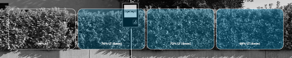 Window Glazing Options